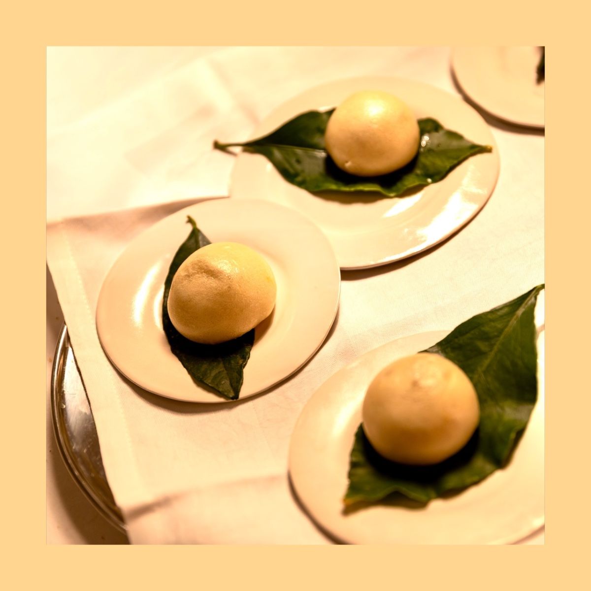 Todoli Citrus Fundació